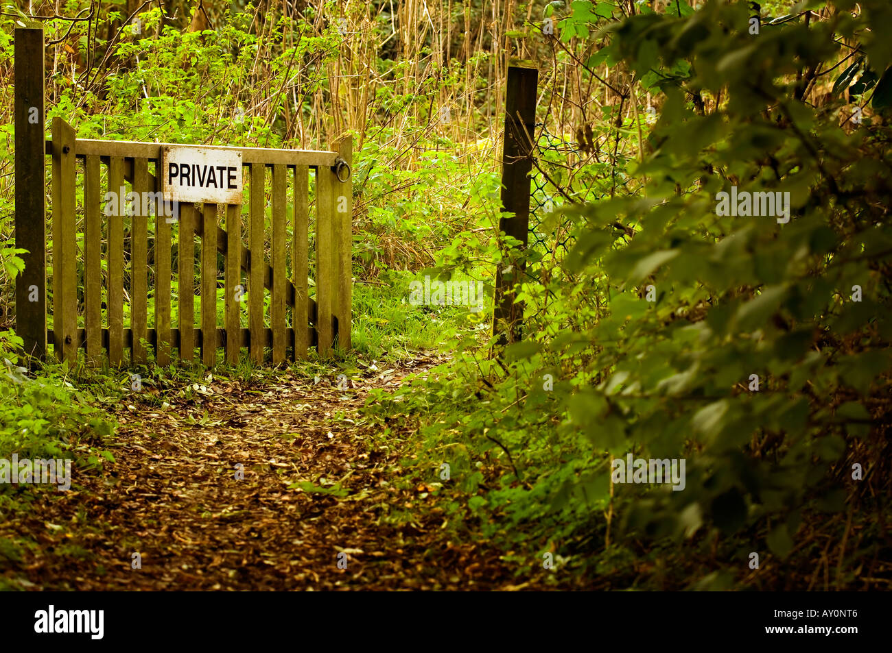 Private Gate High Resolution Stock Photography and Images - Alamy