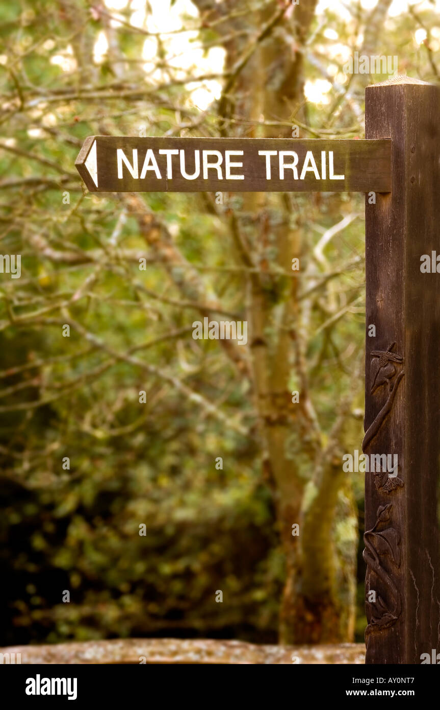 Wooden engraved signpost pointing to a public footpath through woodland ...
