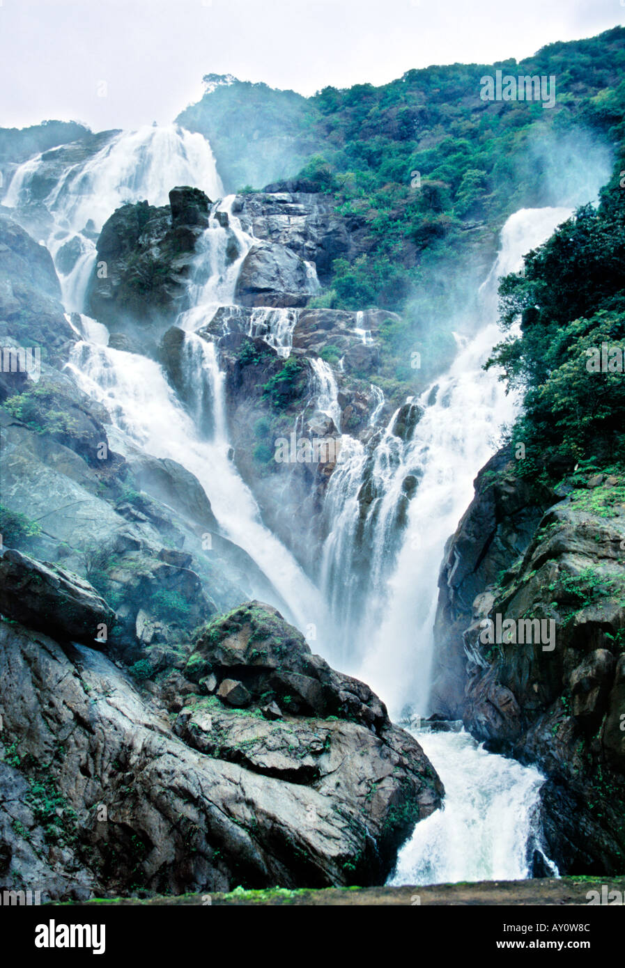 Dudhsagar Falls Monsoon