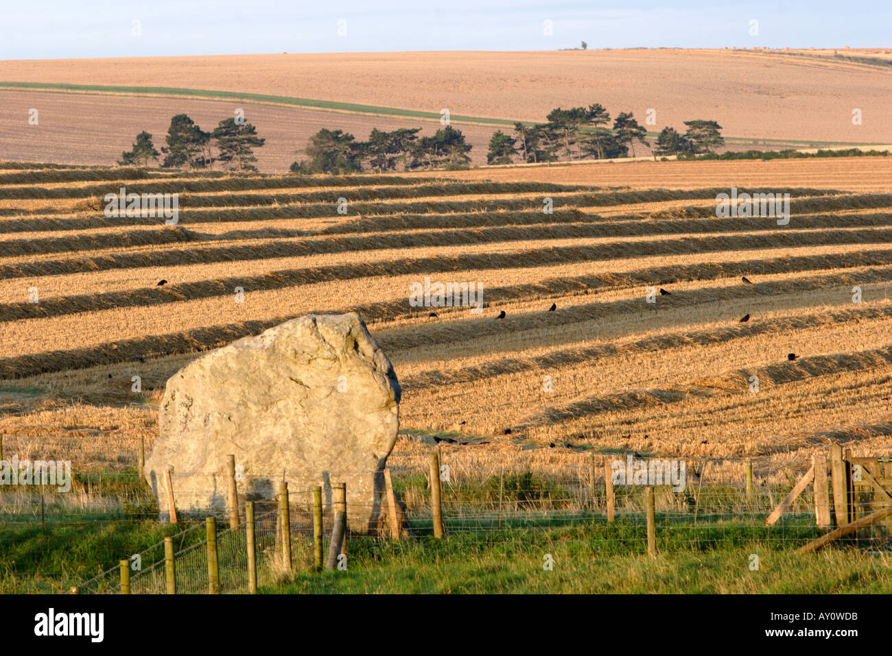 Neolithic farming agriculture hi-res stock photography and images - Alamy