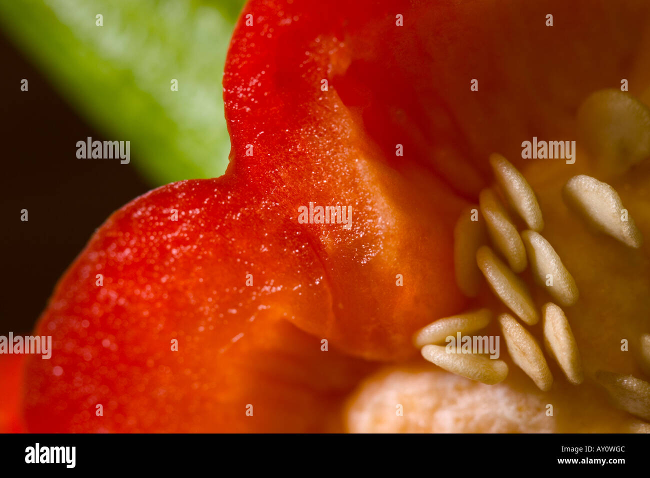 red bell pepper seeds Stock Photo - Alamy