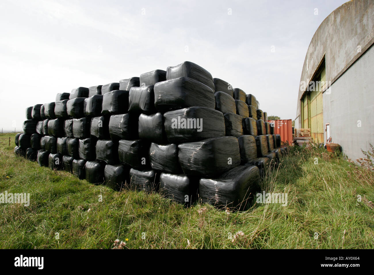 Bales shrink wrapped in black polythene Stock Photo - Alamy