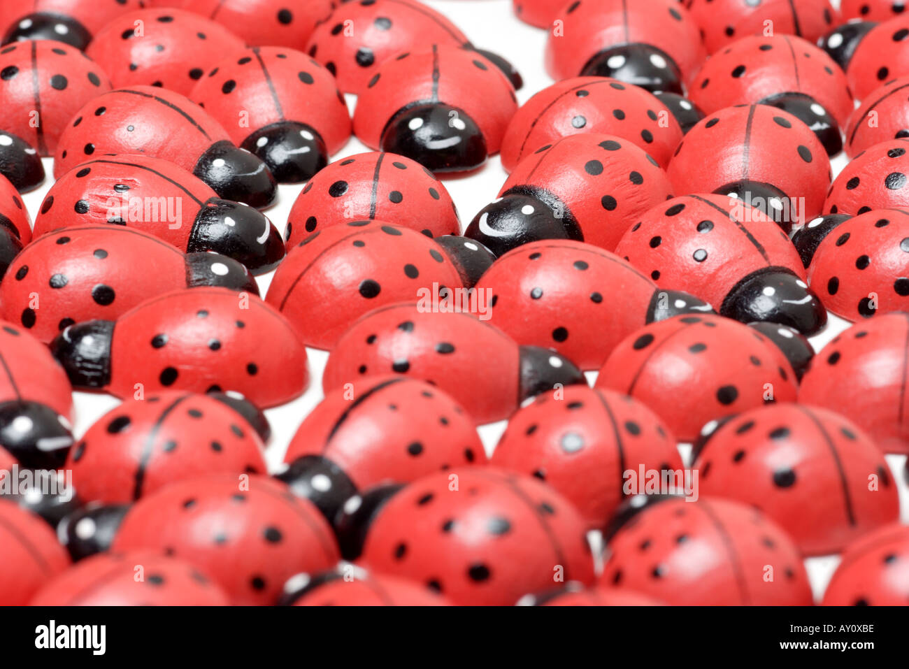 English lady bugs hi-res stock photography and images - Alamy