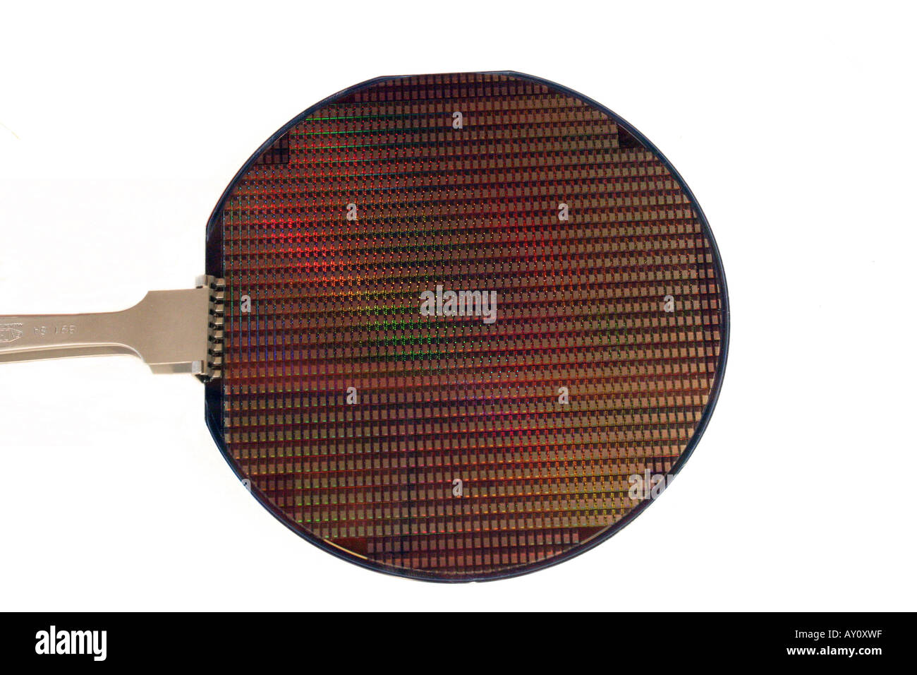 Semiconductor wafer Cut Out Stock Images & Pictures - Alamy