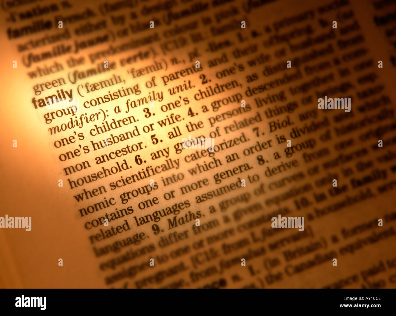 CLOSE UP OF DICTIONARY PAGE SHOWING DEFINITION OF THE WORD FAMILY Stock ...