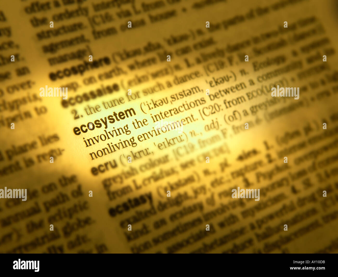 Close Up Dictionary Page Showing High Resolution Stock Photography and ...