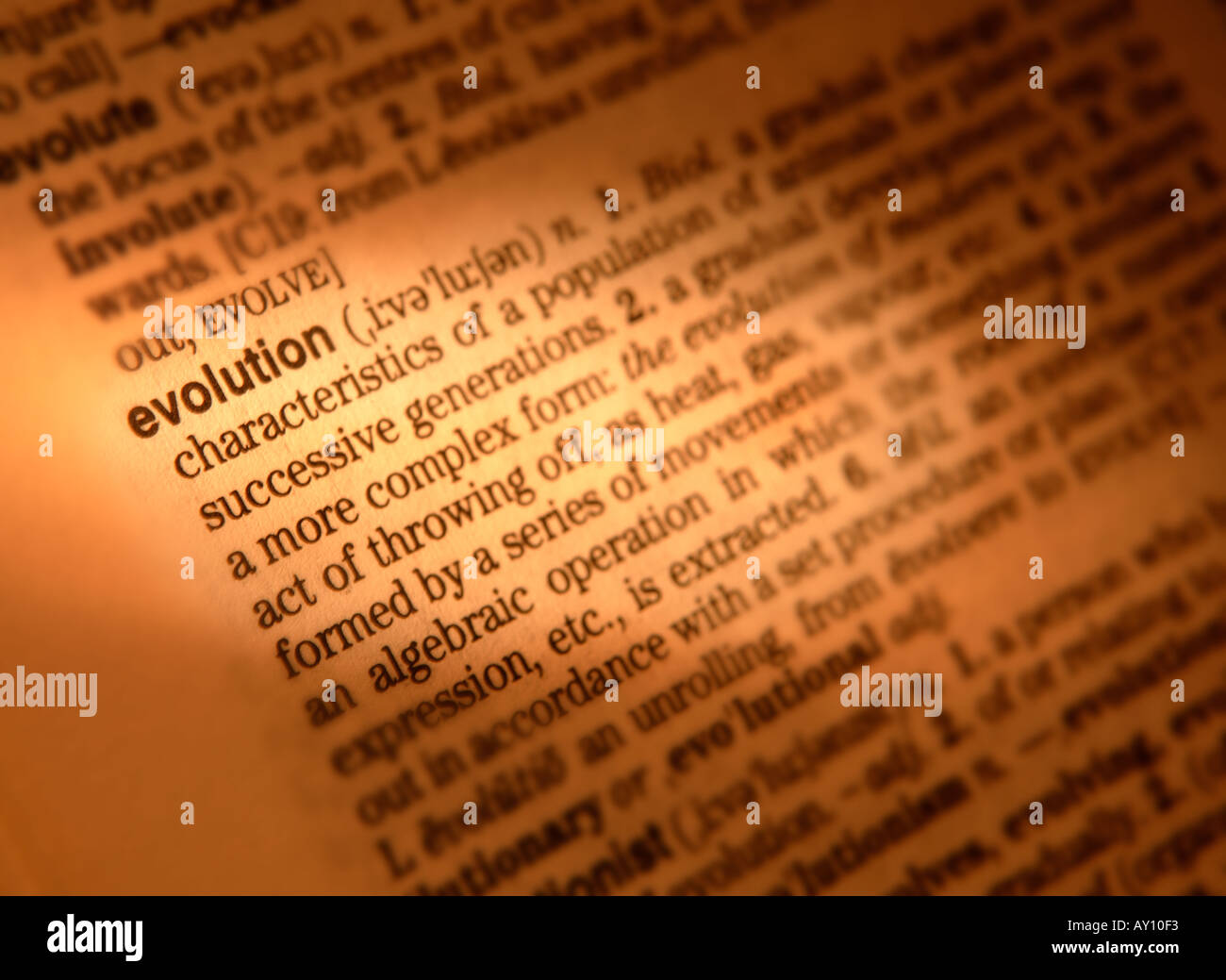 Evolution of language hi-res stock photography and images - Alamy