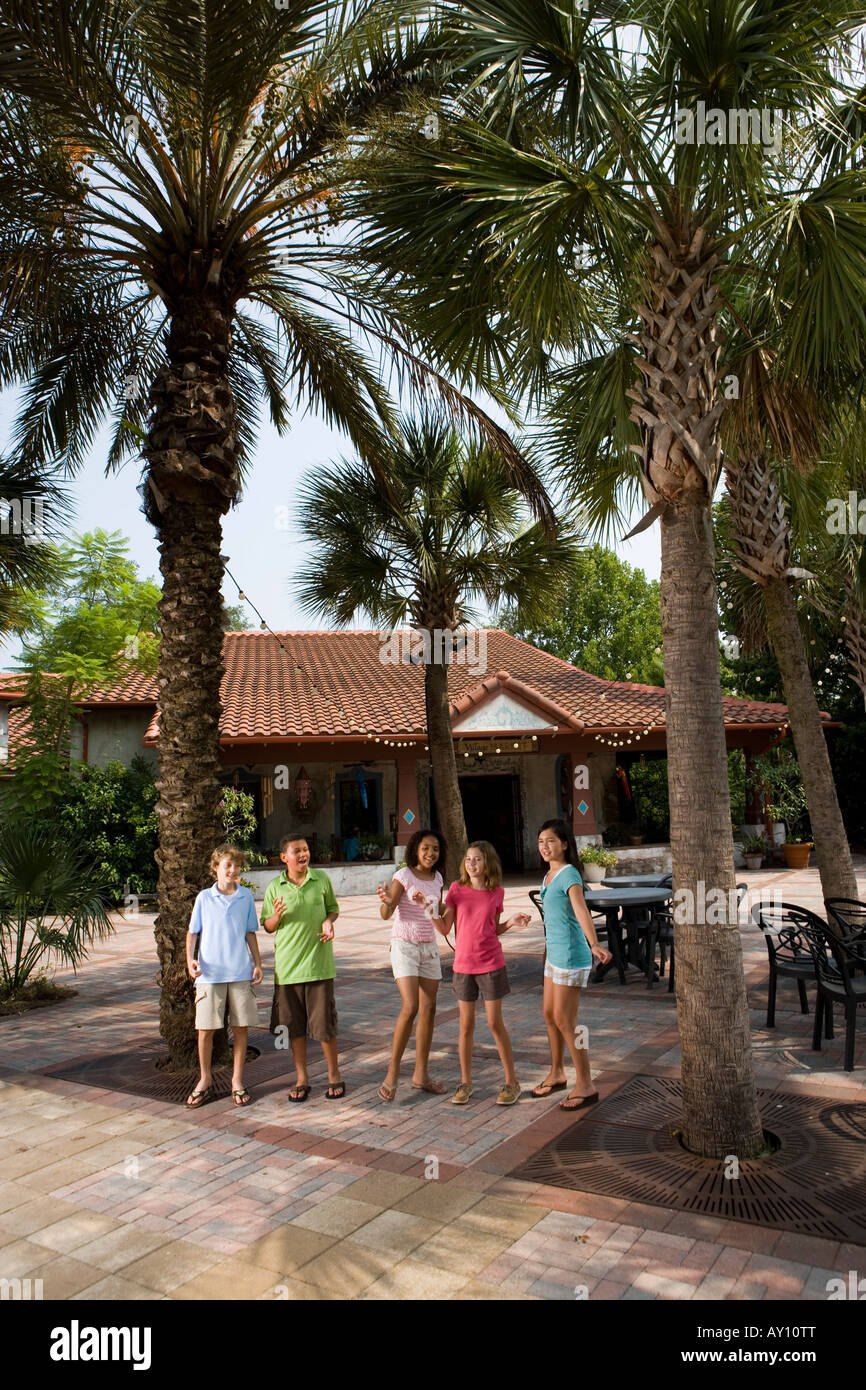 Teenagers dancing under the palm tree with a house in background Stock ...