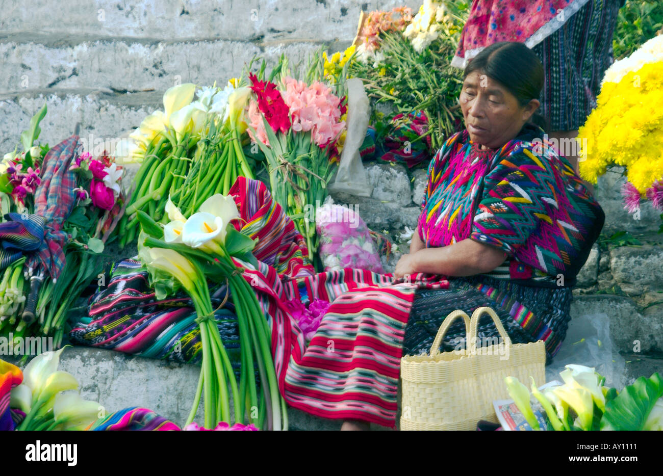 Guatemalan lady selling flowers at the flower market on the steps of ...