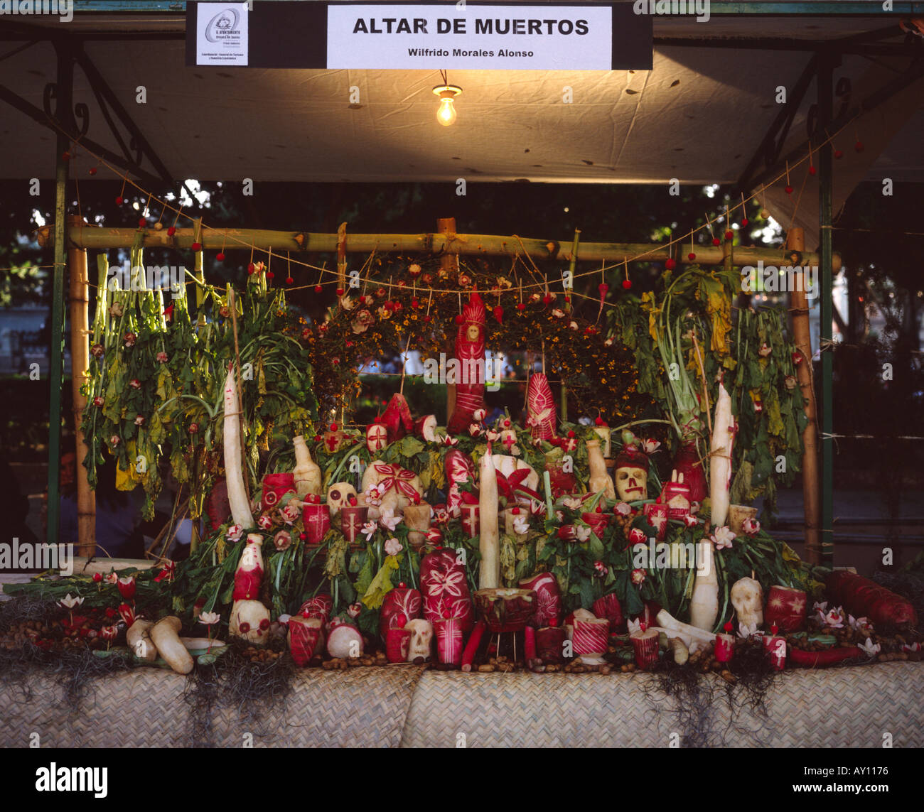 Noche de rabanos radish hi-res stock photography and images - Alamy