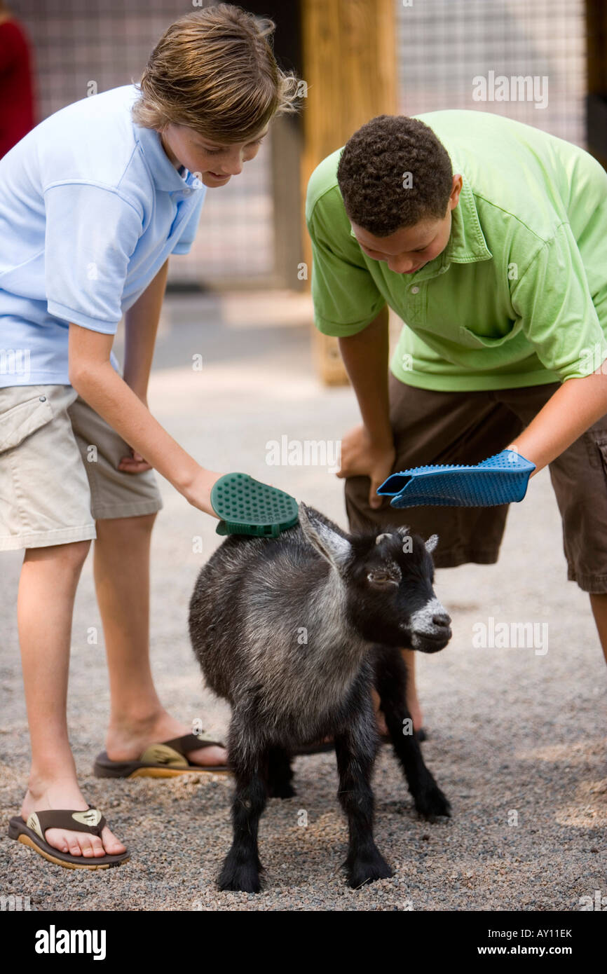 Two boys with a goat hi-res stock photography and images - Alamy