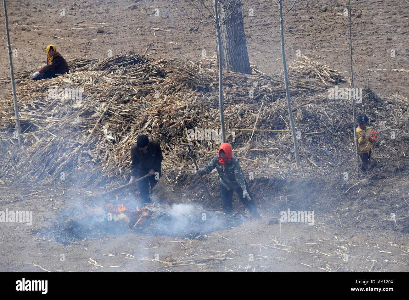 Farmers burning straw in a village in Chicheng county, Hebei province ...