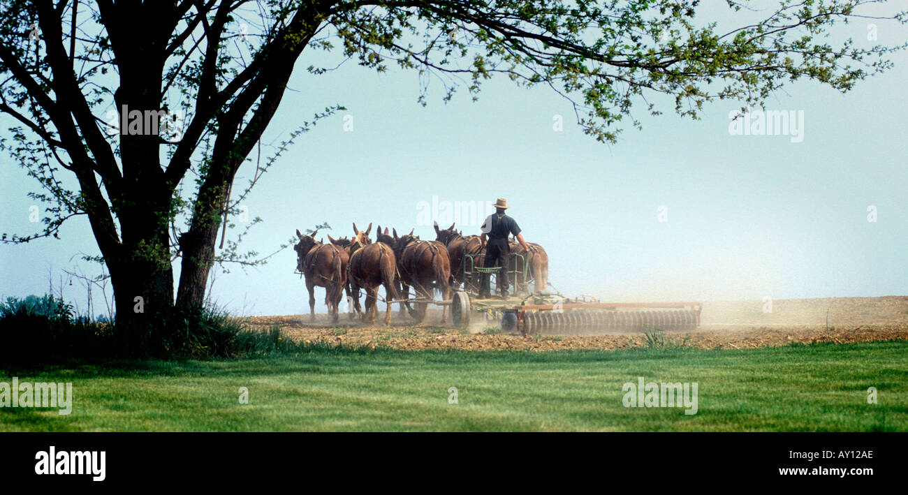 Old order amish farmer hi-res stock photography and images - Alamy
