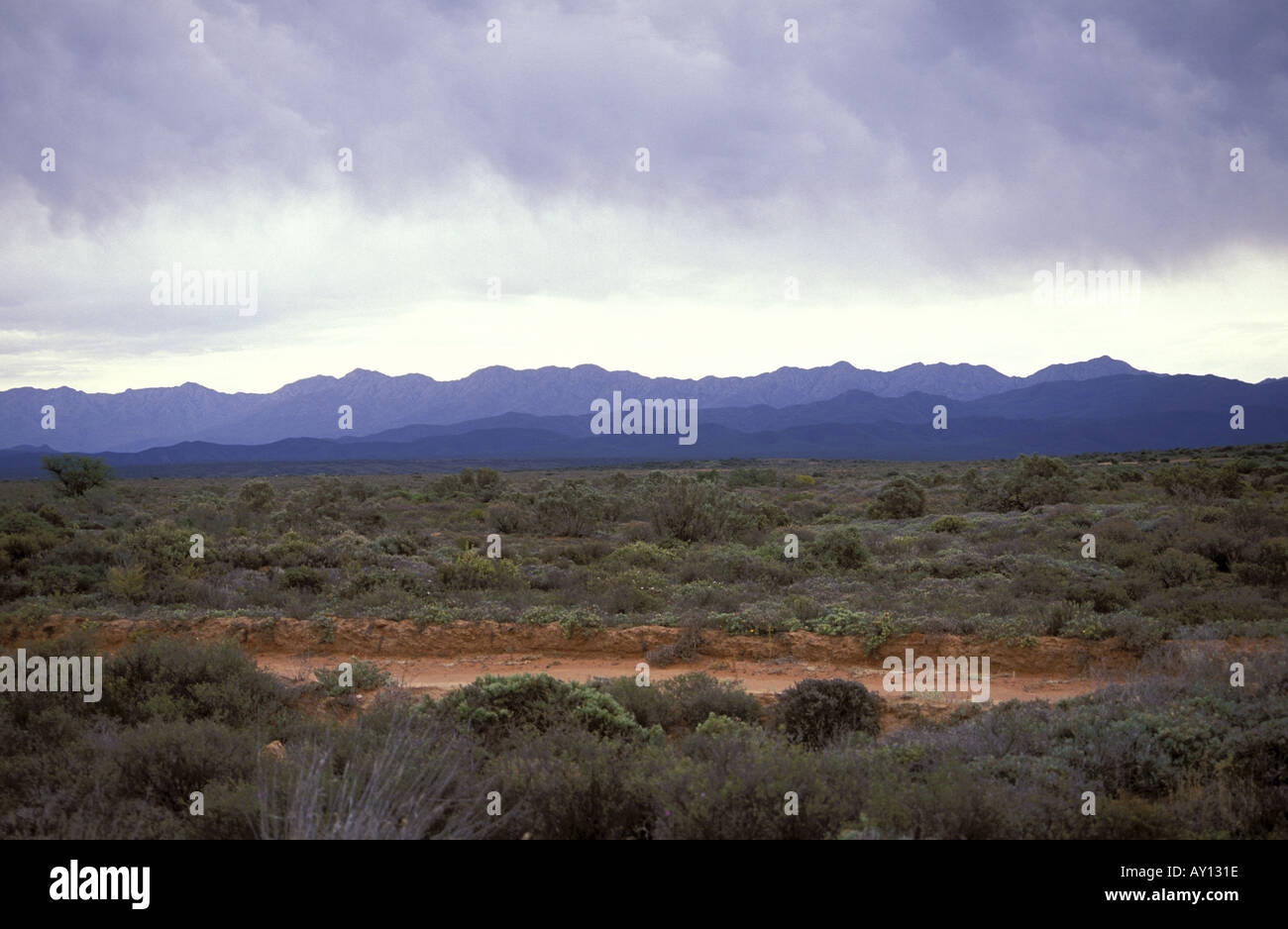 South Africa Rural Scene near Oudsthoorn Western Cape Stock Photo - Alamy