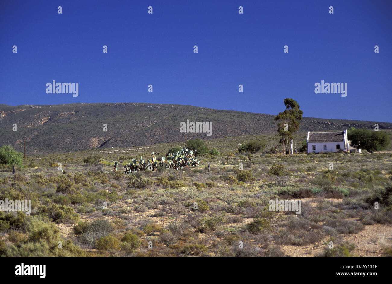 South Africa Rural Scene near Oudsthoorn Western Capee Stock Photo - Alamy