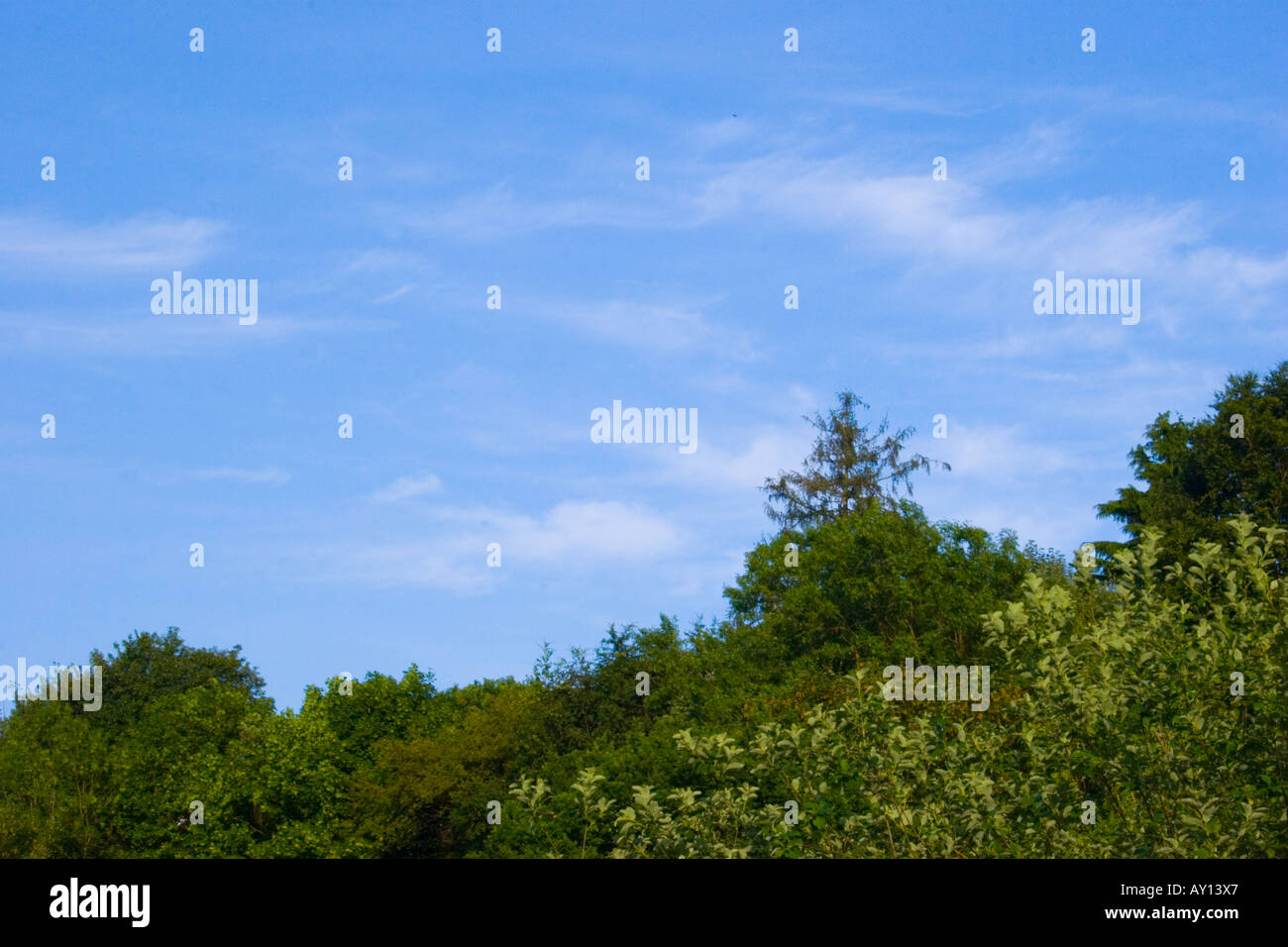 blue sky greenery in the foreground Stock Photo - Alamy