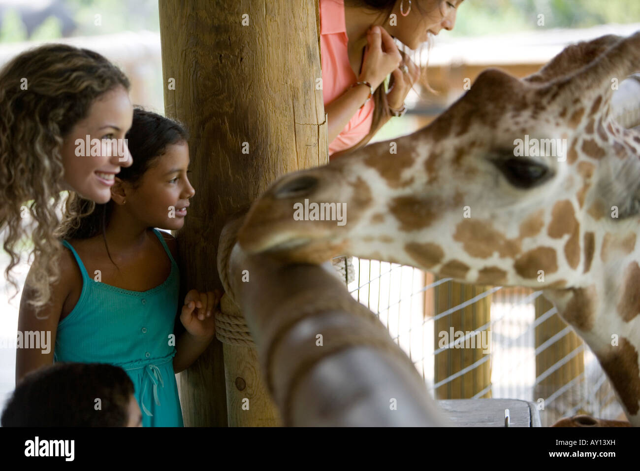 People standing in front of giraffe Stock Photo - Alamy