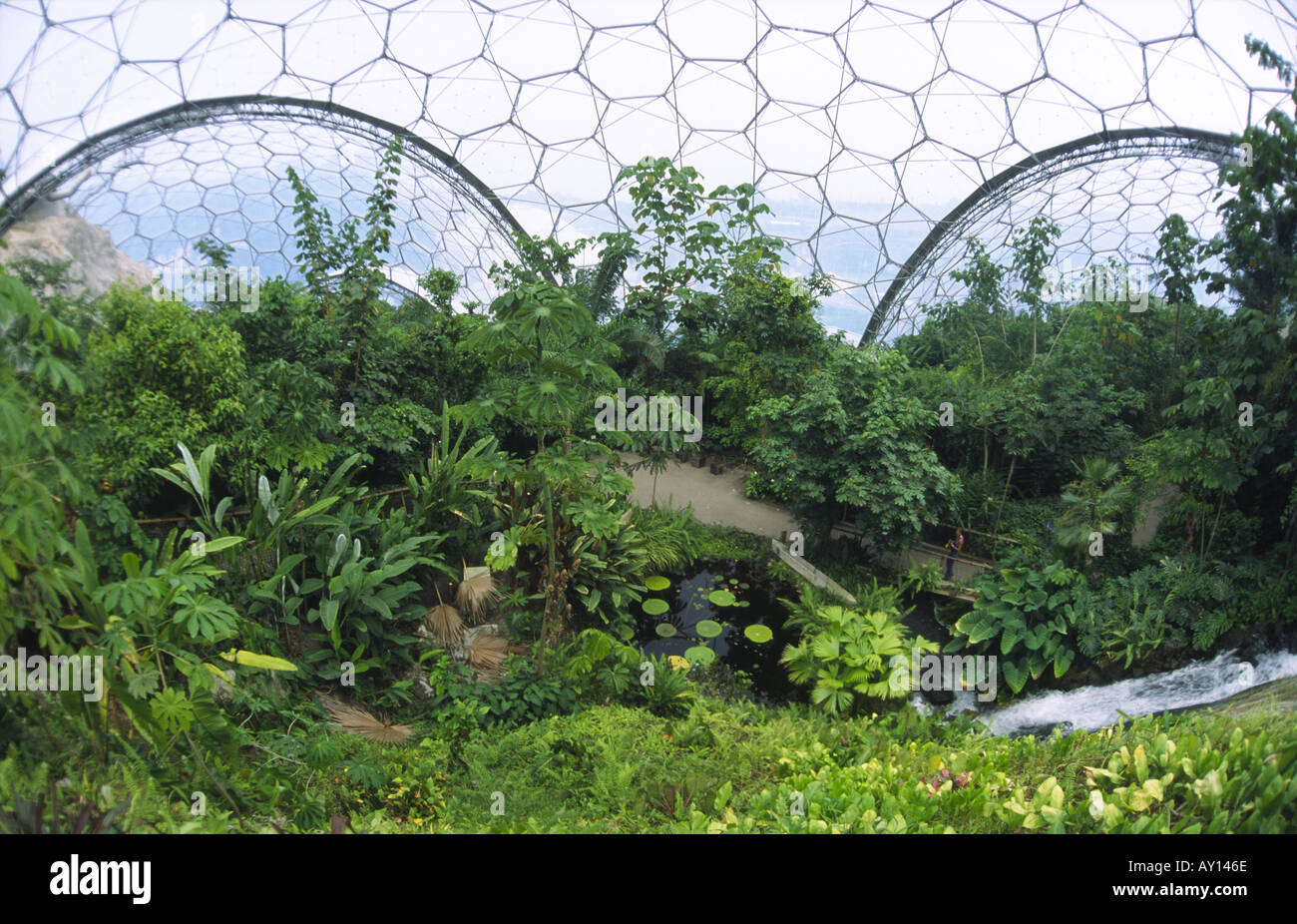 Eden Project Cornwall South England Stock Photo - Alamy