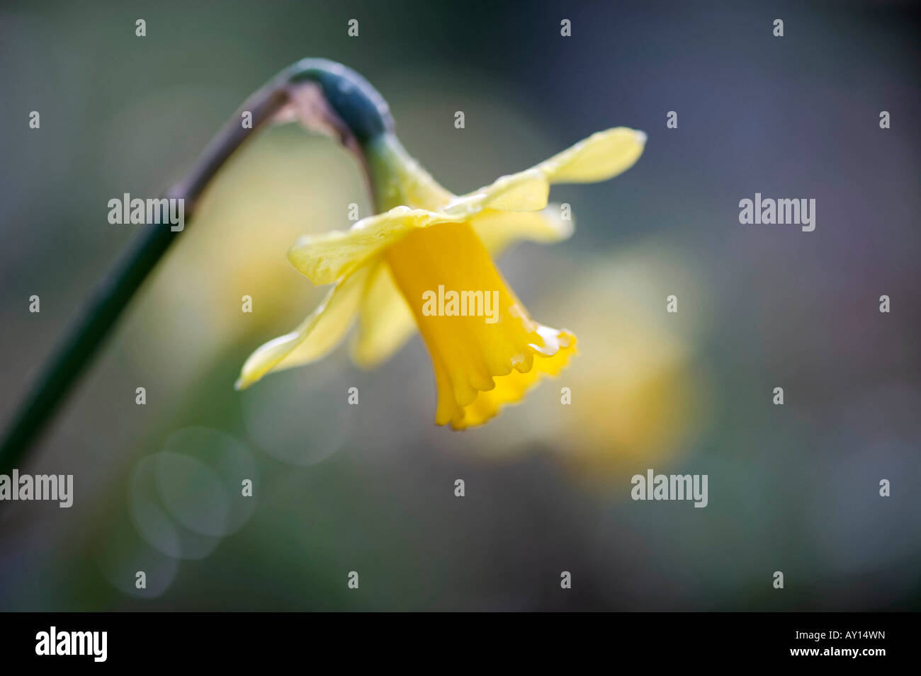 Jet fire hi-res stock photography and images - Alamy