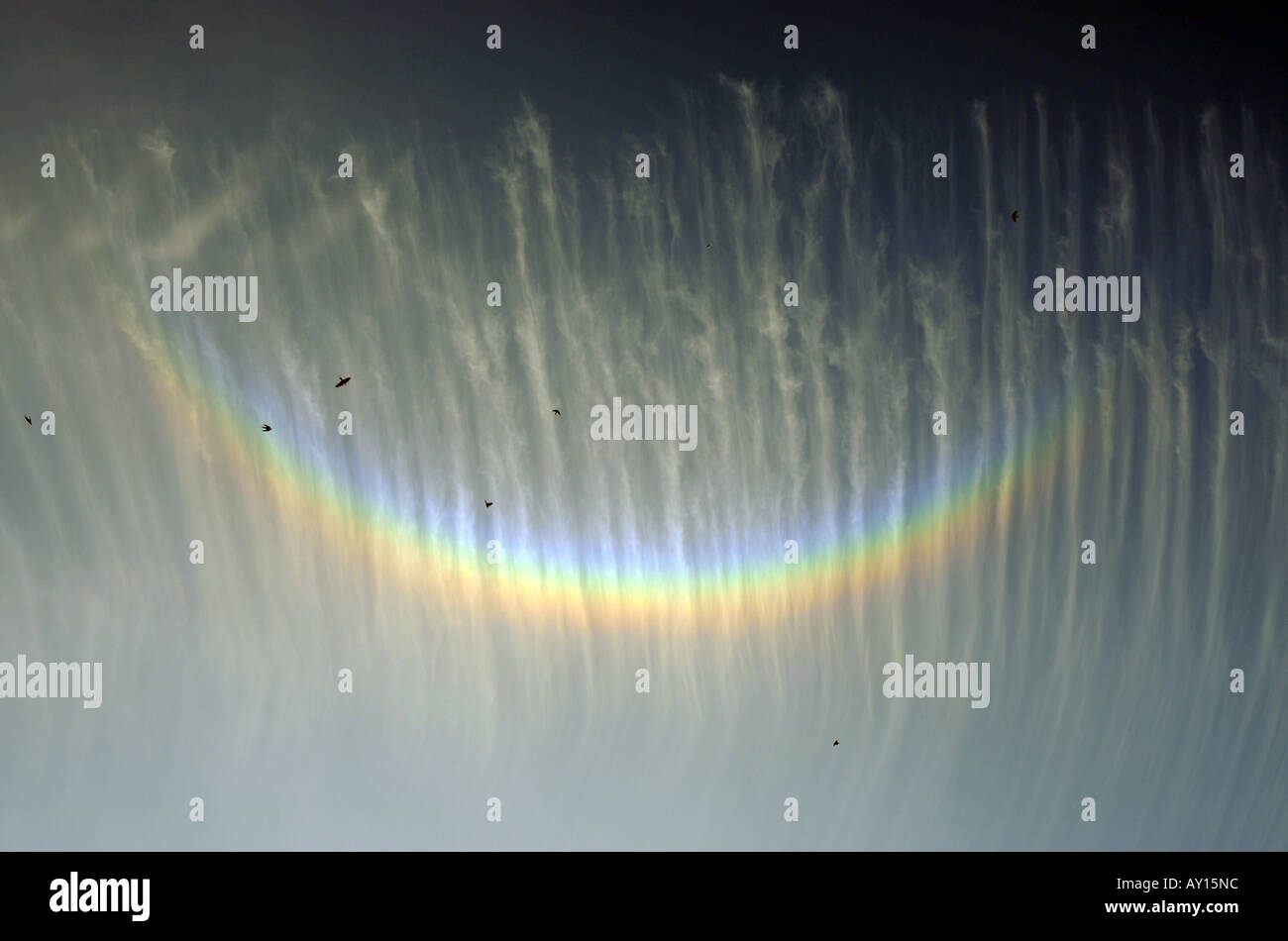 Stratocirrus hi-res stock photography and images - Alamy