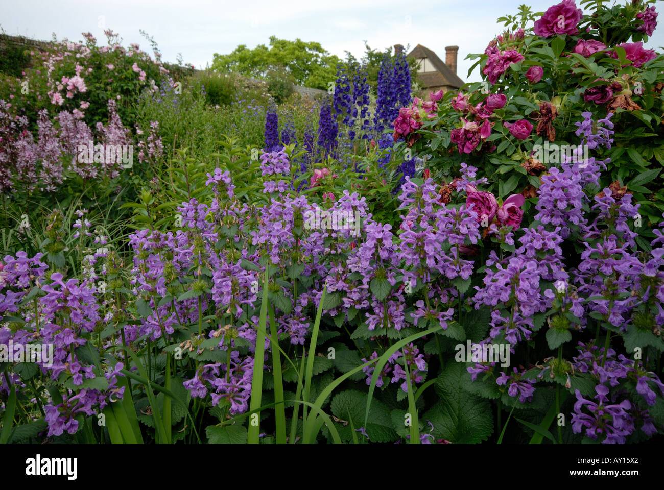 The cottage garden, Sissinghurst Castle, Kent Stock Photo - Alamy