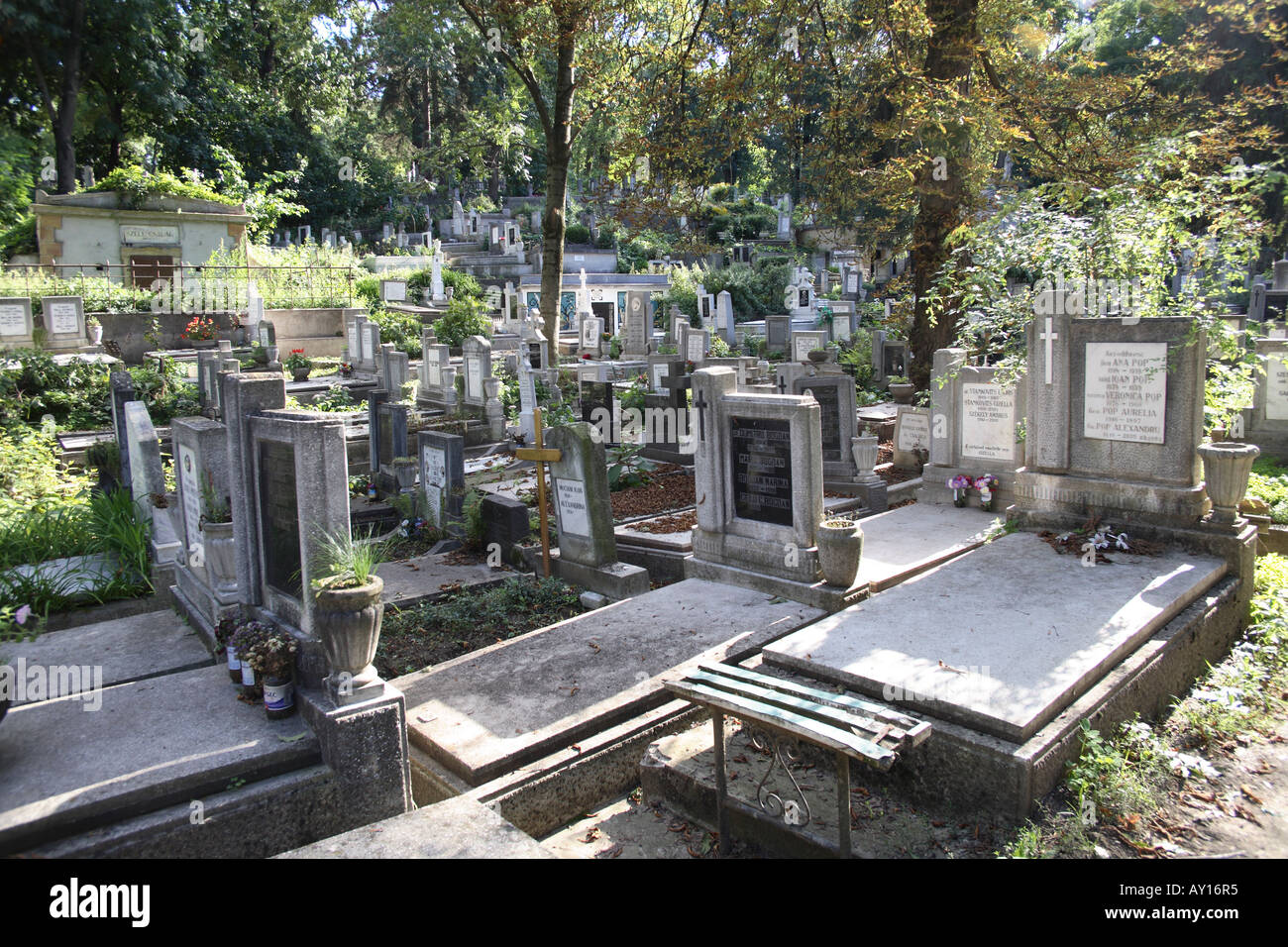 Cemetery. Cluj-Napoca, Transylvania, Romania Stock Photo - Alamy