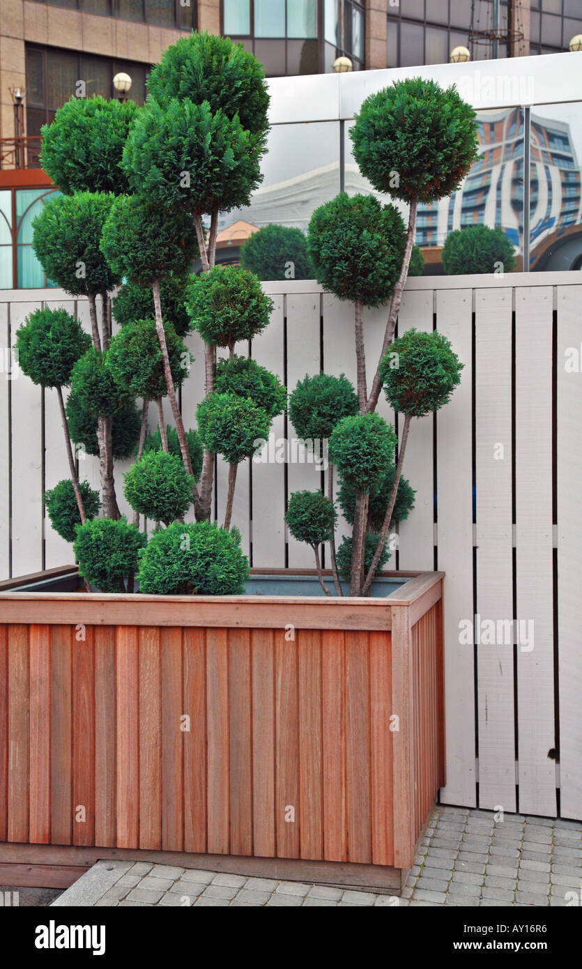 Topiary balls hi-res stock photography and images - Alamy