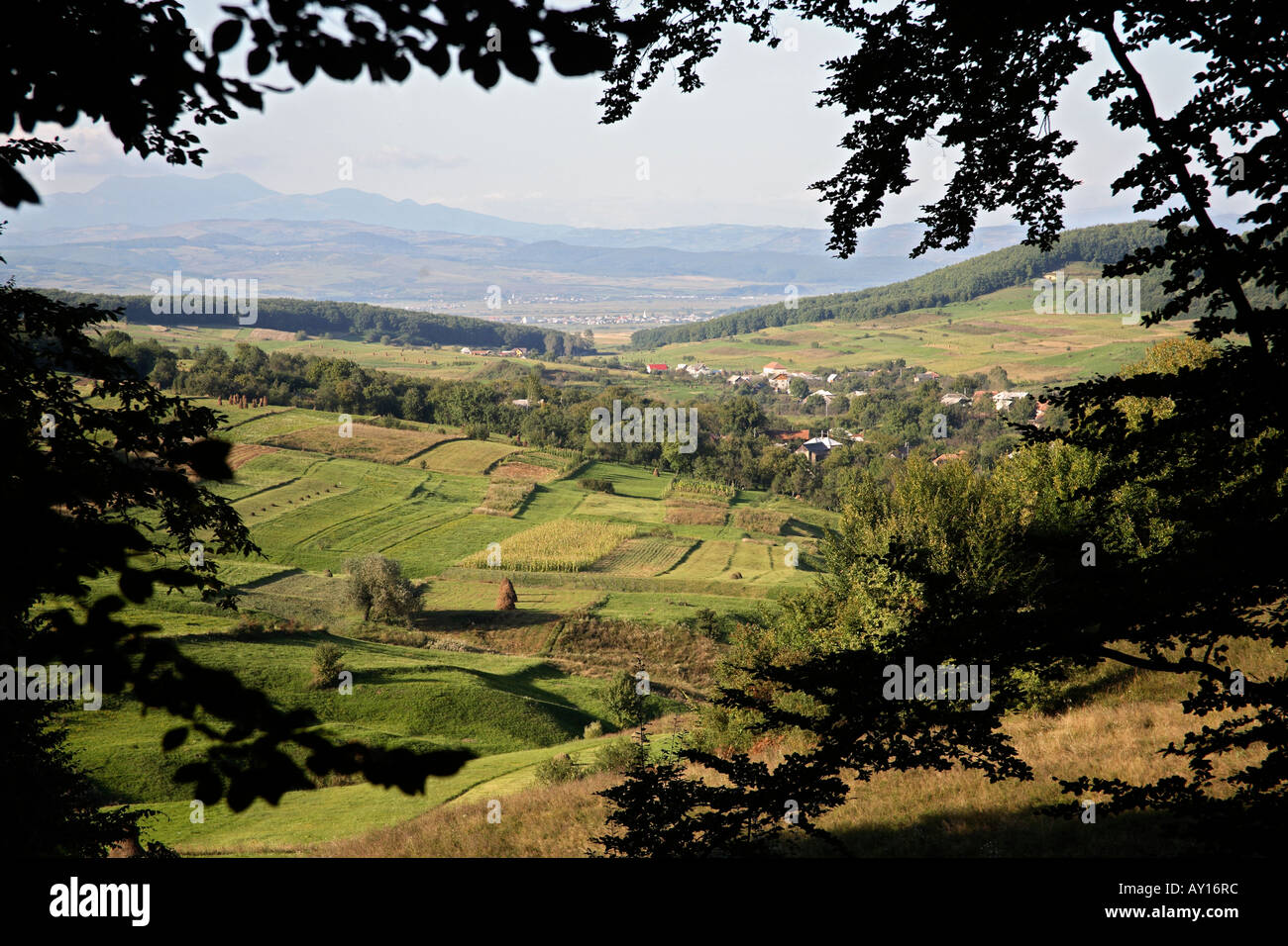 Rural scene in Transylvania seen through branches at the edge of a wood ...
