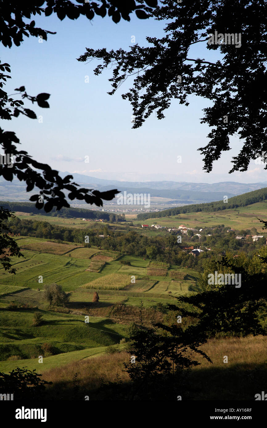 Rural scene in Transylvania seen through branches at the edge of a wood ...