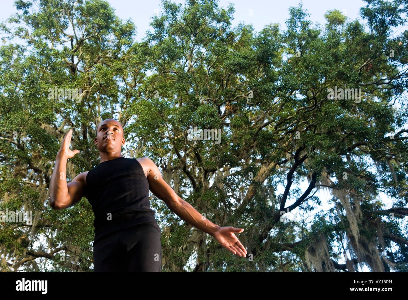 Man under trees hi-res stock photography and images - Alamy