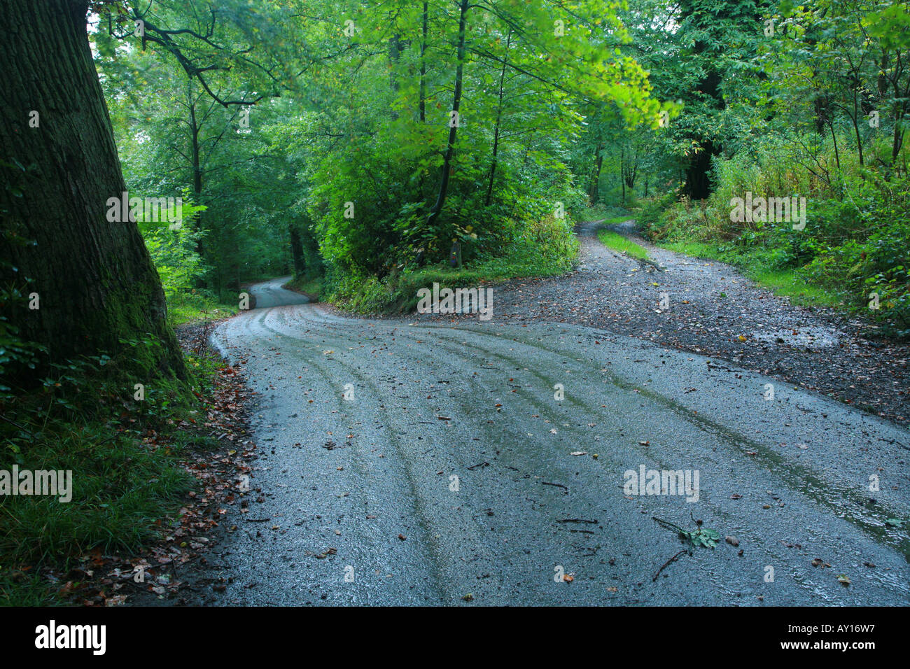 Two night roads hi-res stock photography and images - Alamy