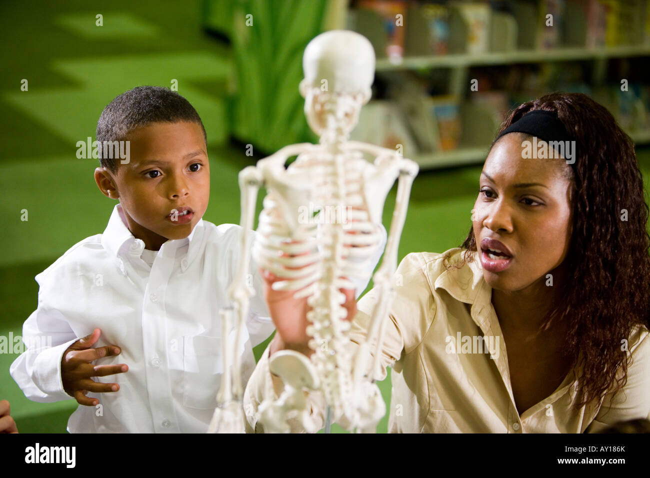 Teacher showing a model skeleton to students in the library Stock Photo ...