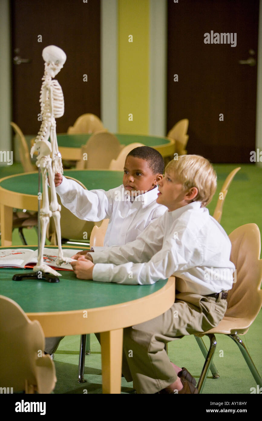 Skeleton human full length book hi-res stock photography and images - Alamy