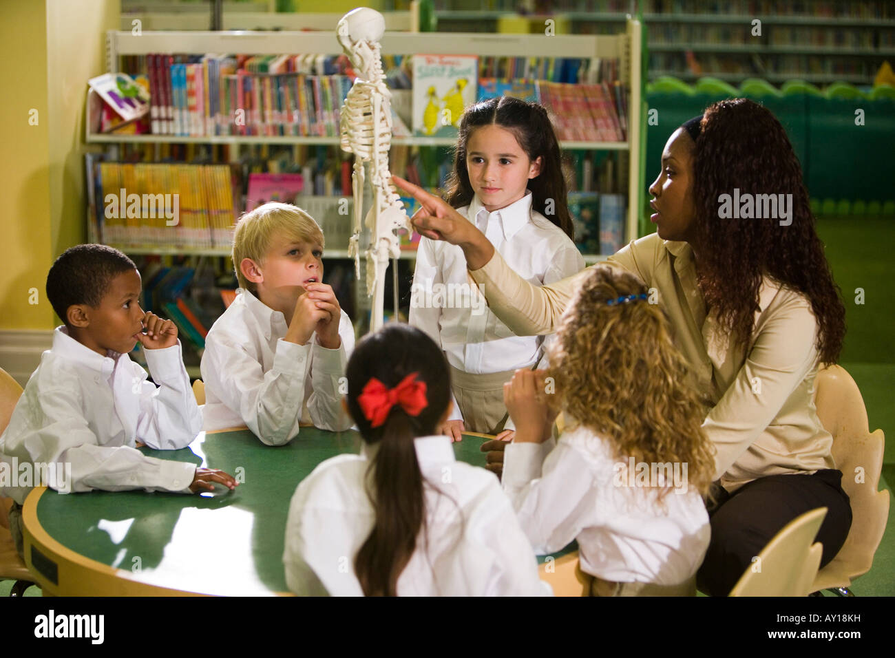 Teacher showing a model skeleton to students in the library Stock Photo ...