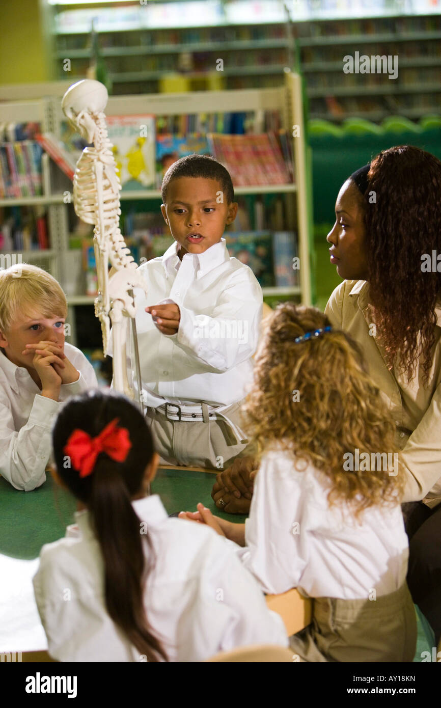 Human Skeleton Model Waist Stock Photos & Human Skeleton Model Waist ...