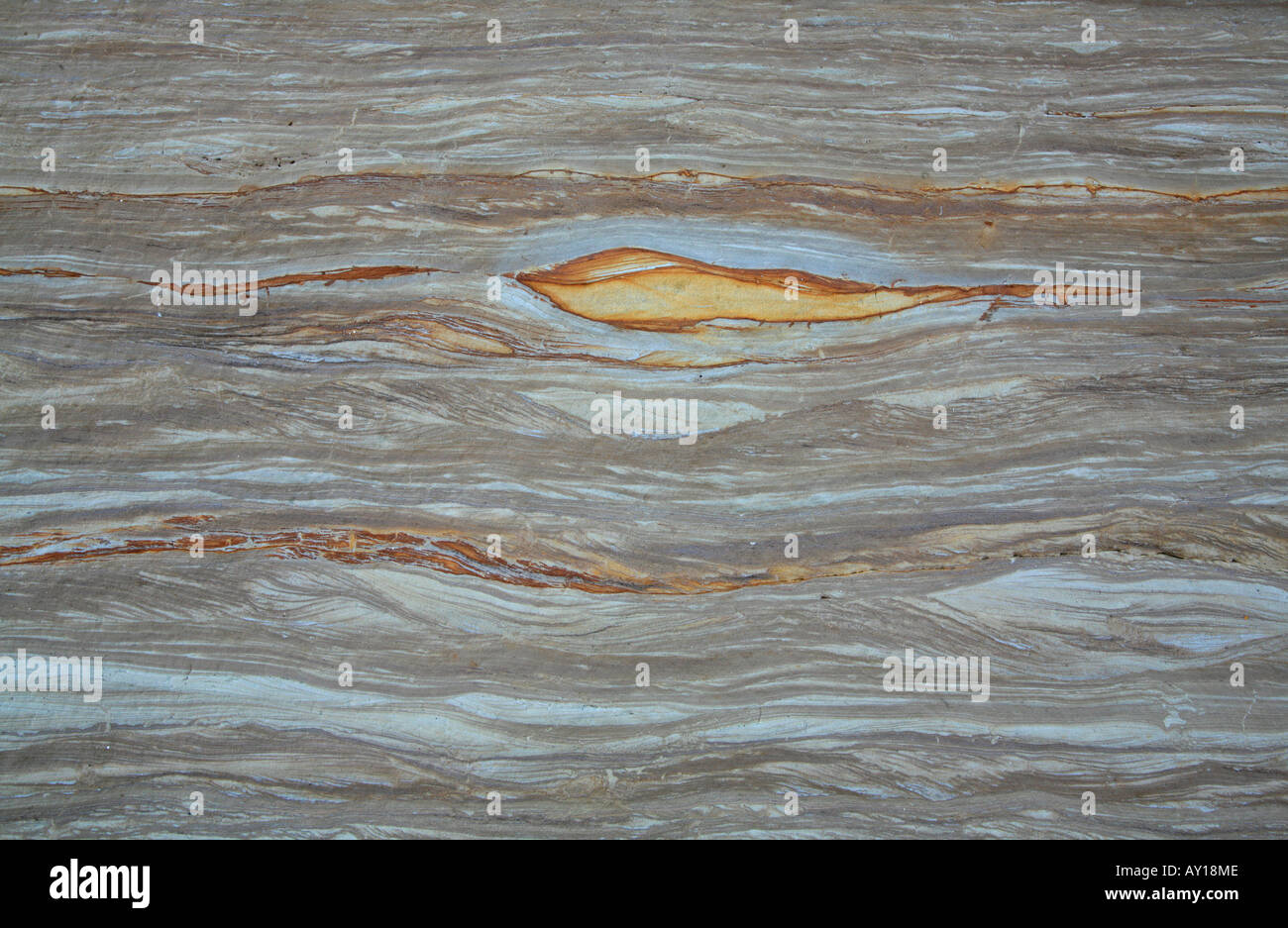 Coloured banding in Kentish ragstone exposed in sea cliffs near ...