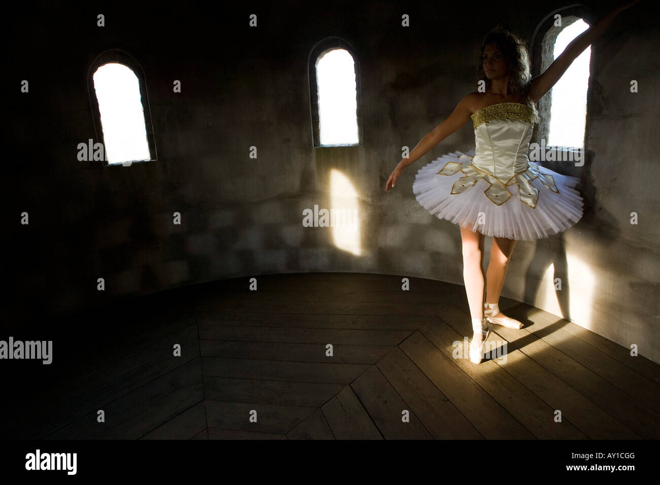 Young woman practicing ballet dancing Stock Photo - Alamy