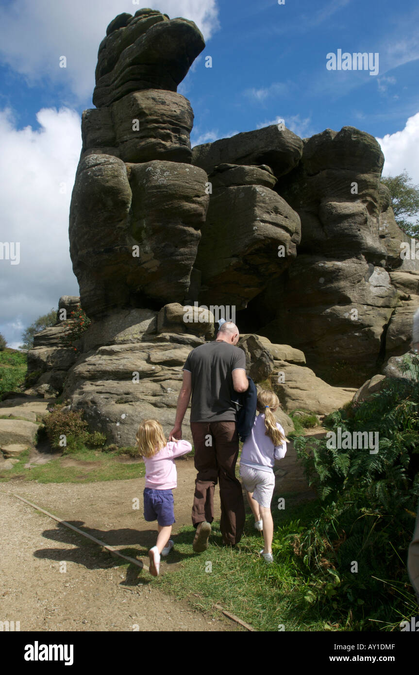 National Trust, Brimham Rocks, North Yorkshire, England, UK, Europe ...