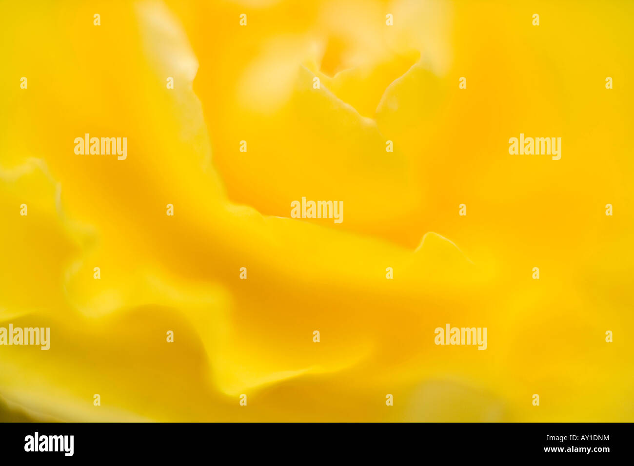 Planrt hi-res stock photography and images - Alamy