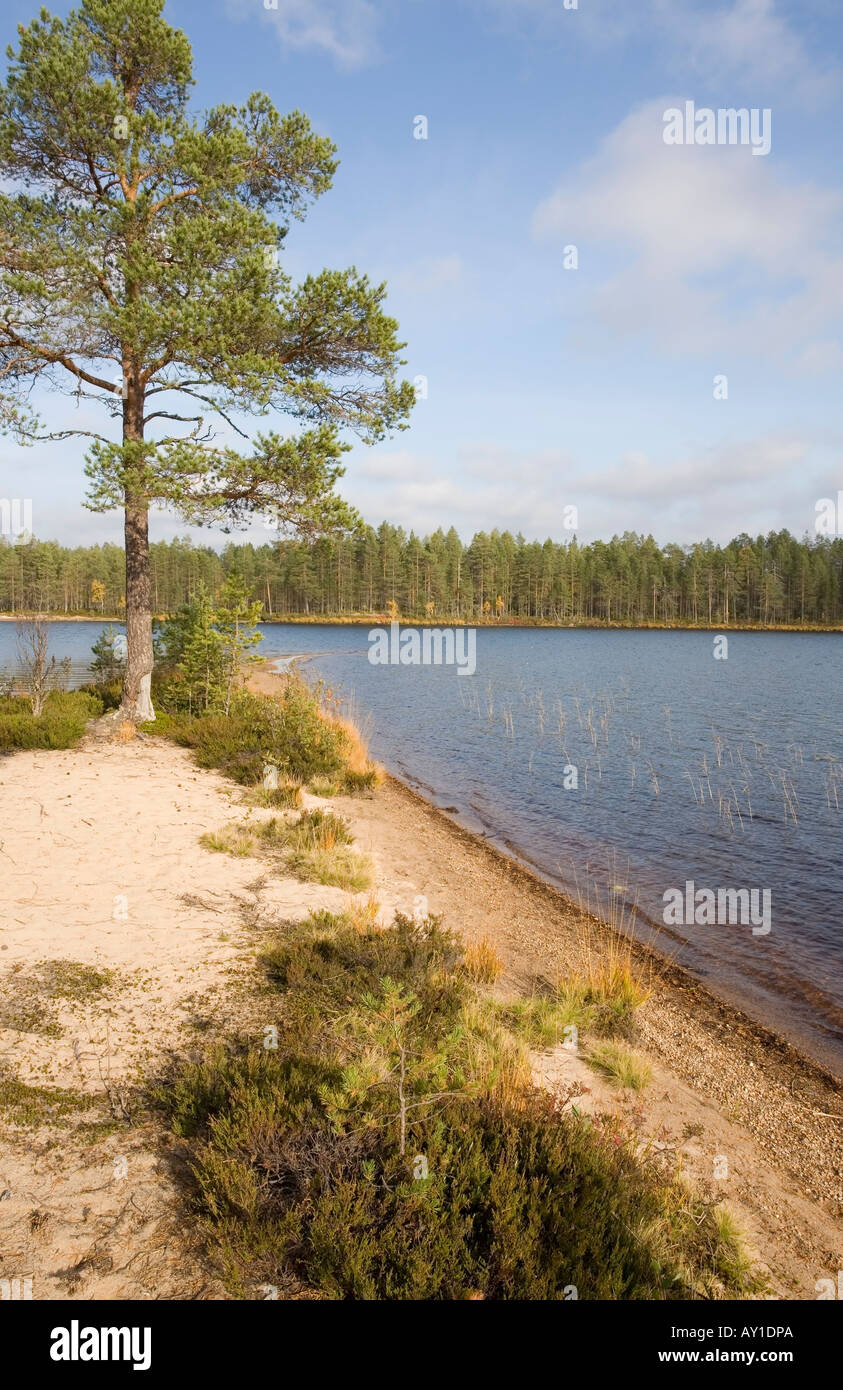 Lake scenery in Tiilikkajärvi National park Finland Europe Stock Photo ...