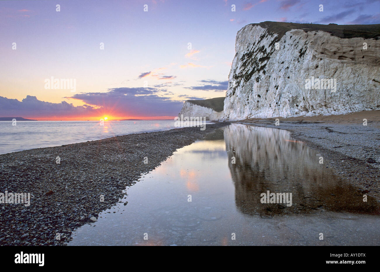 Bat’s head hi-res stock photography and images - Alamy