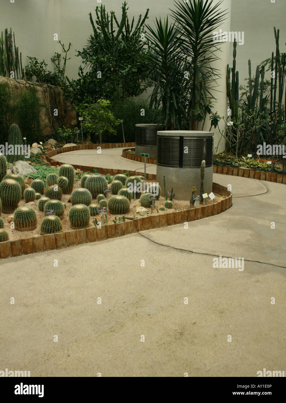 interior view Hong Kong Park conservatory arid region April 2008 Stock ...