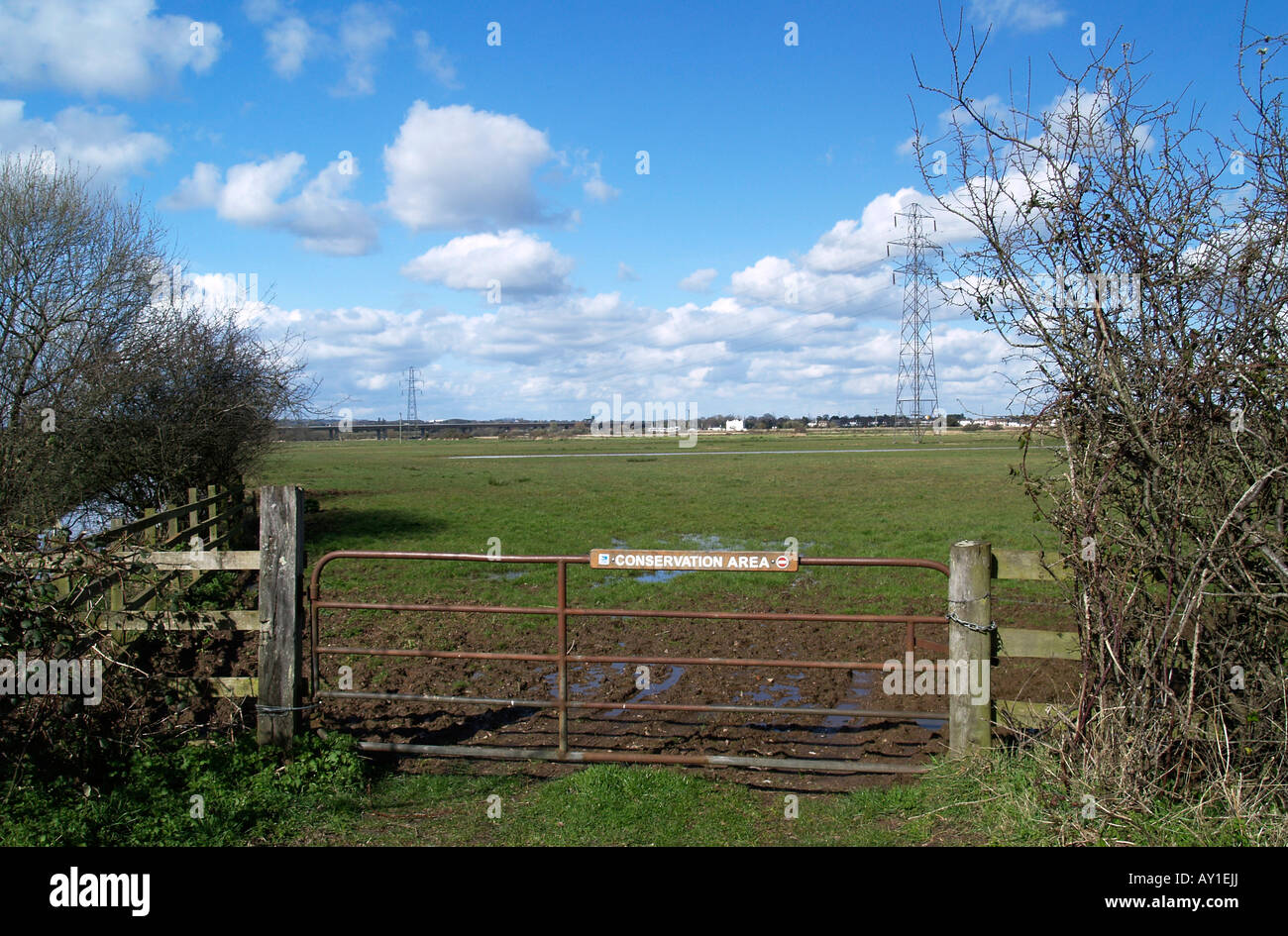 Rspb exminster marshes hi-res stock photography and images - Alamy