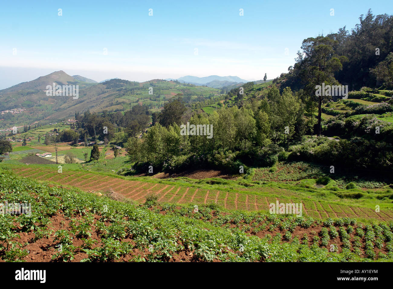 Showing fields hi-res stock photography and images - Alamy