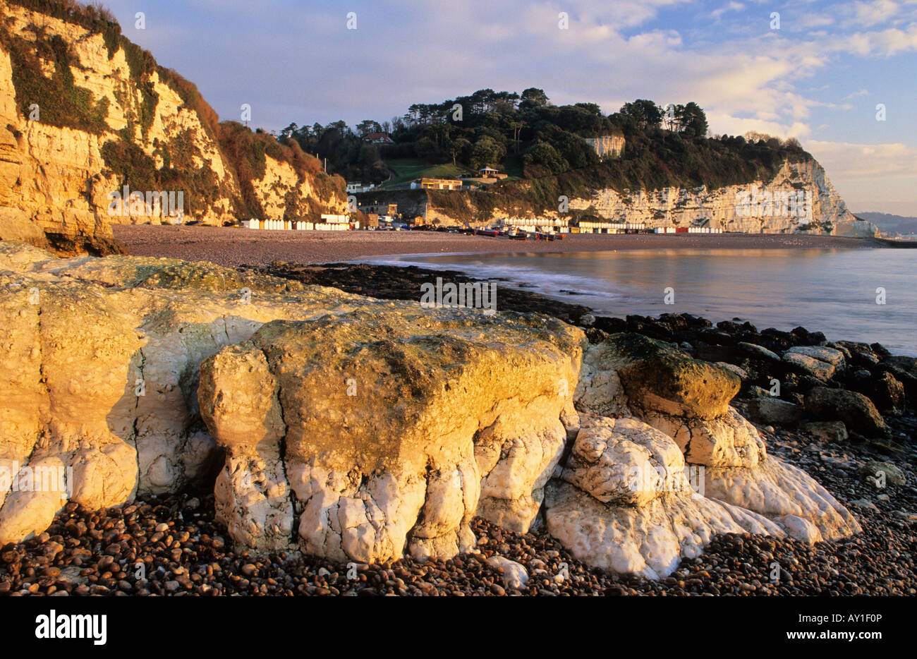 Beer, Devon, England Stock Photo - Alamy