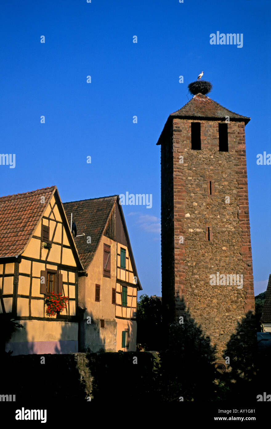 Medieval Tower with stork at Kaysersberg Stock Photo - Alamy