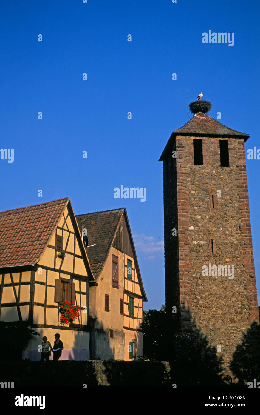 Medieval Tower with stork at Kaysersberg Stock Photo - Alamy