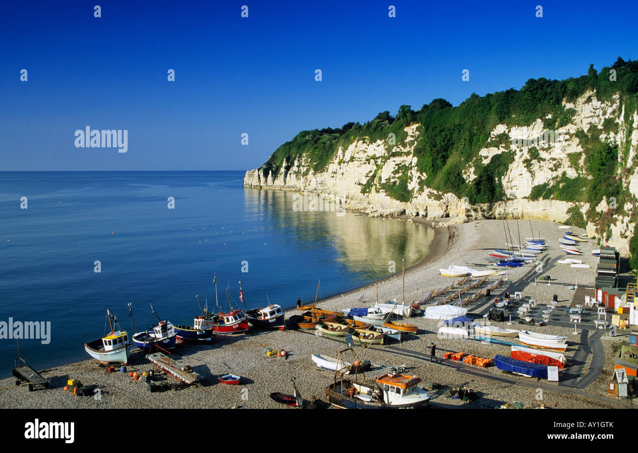 Beer, Devon, England Stock Photo - Alamy