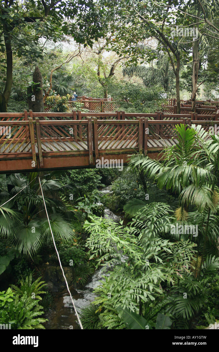 interior of walk through aviary Hong Kong Park April 2008 Stock Photo ...