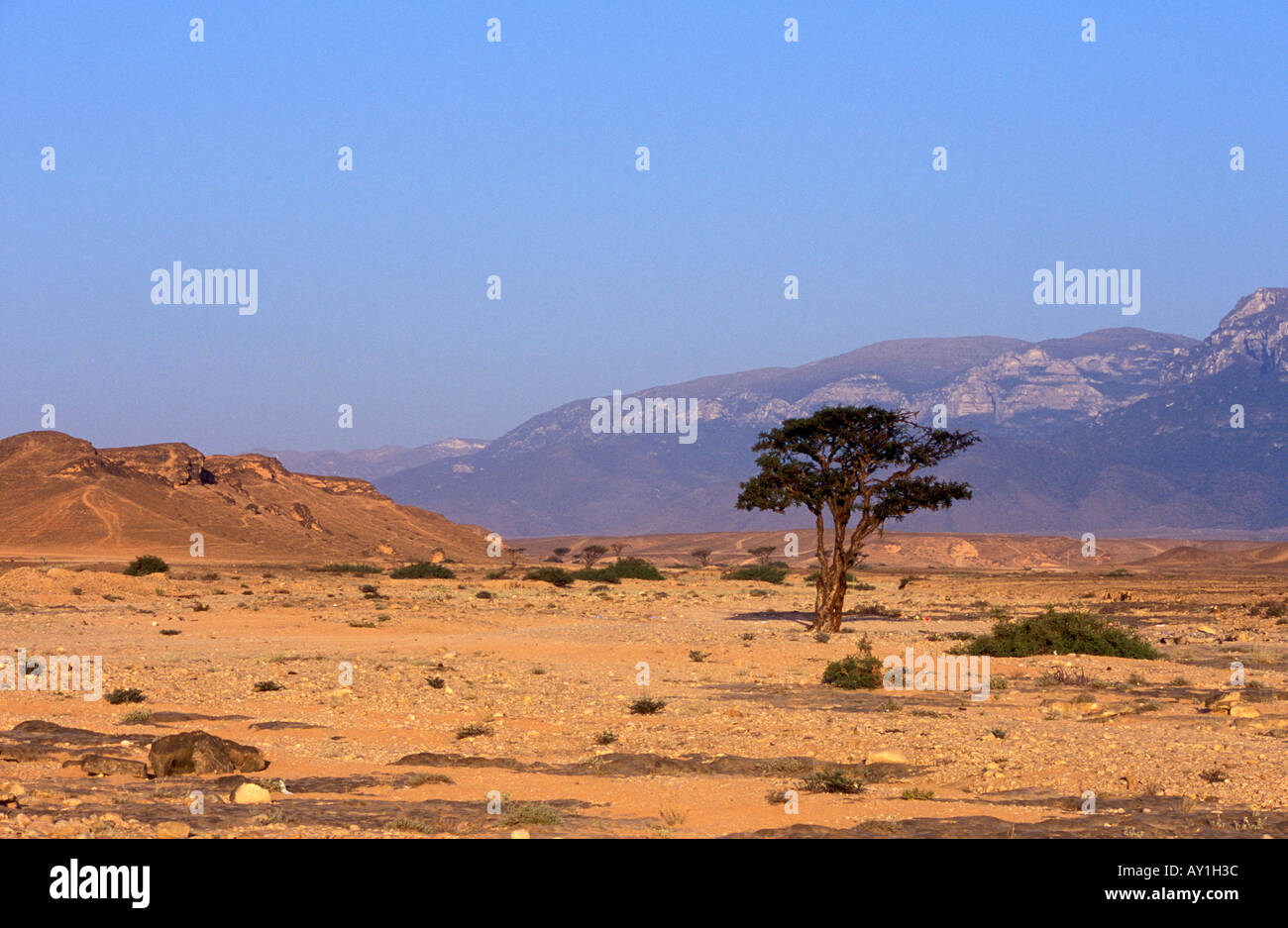 Oman hills green hi-res stock photography and images - Alamy